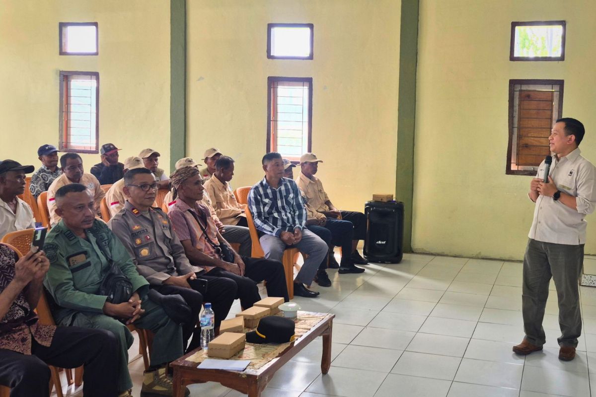 WWF Indonesia perkuat konservasi penyu belimbing di Pulau Buru lewat ...