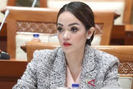 Andina Narang soroti \"live streaming\" jadi media baru konten vulgar