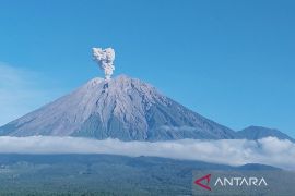 Gunung Semeru kembali erupsi dengan letusan setinggi 700 meter - ANTARA News