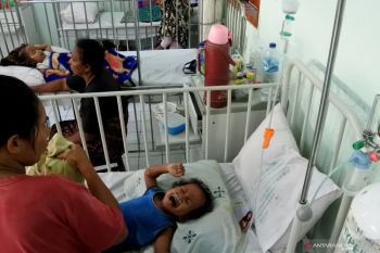 dbd di sikka - Kumpulan Berita ANTARA News