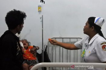 dbd di sikka - Kumpulan Berita ANTARA News