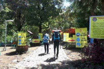 jalur pendakian gunung lawu - Kumpulan Berita ANTARA News