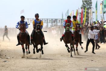 pacuan kuda tradisional gayo - Kumpulan Berita ANTARA News