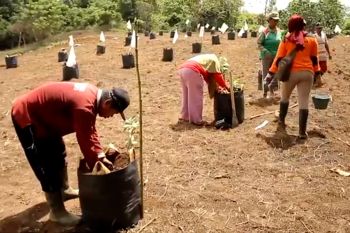 topang ekonomi - Kumpulan Berita ANTARA News