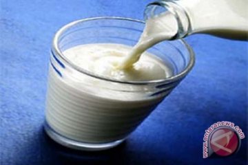 Pemerintah akan programkan susu untuk anak sekolah - ANTARA News ...