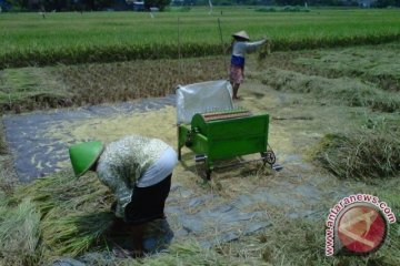 Pakar UGM : petani Bantul paling miskin se-DIY - ANTARA News Yogyakarta ...