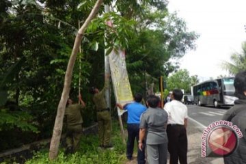 Satpol PP Gunung Kidul bersihkan spanduk liar - ANTARA News Yogyakarta ...