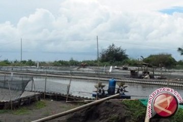 Relokasi tambak udang tunggu kesiapan lahan - ANTARA News Yogyakarta ...