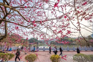 Bunga-bunga bermekaran saat musim semi di China - ANTARA News