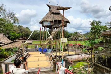 Rumah Adat Dayak Bidayuh perlu perbaikan - ANTARA News Kalimantan Barat
