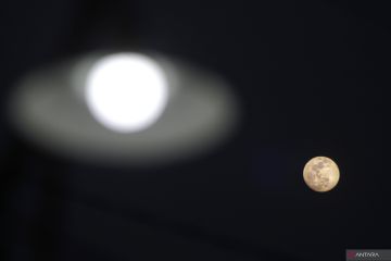 Apa itu Hunter's Moon yang terjadi pada 7 Oktober 2025? - ANTARA News