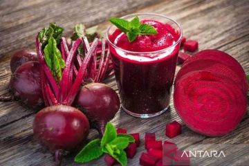 8 manfaat buah bit untuk jaga kesehatan tubuh - ANTARA News