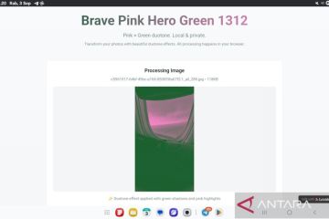 Cara membuat foto Brave Pink & Hero Green yang tengah viral di medsos ...