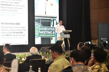 Nuclear power becomes Indonesia's strategic energy option: govt ...
