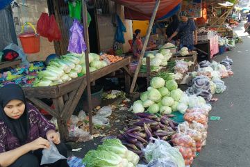 Harga sayuran di Pasar Terong Makassar melonjak jelang Ramadan - ANTARA ...