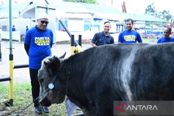 Pertamina Drilling Sebar Hewan Kurban ke Wilayah Operasi dan Kantor ...