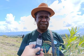 Pemprov Papua Pegunungan dorong program "Hijaukan Lembah" guna jaga ...
