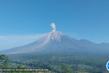 Semeru enam kali erupsi dengan tinggi letusan hingga 1.000 meter ...
