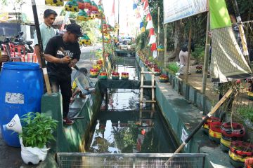 Wali Kota: Budi daya ikan saluran irigasi dukung konservasi lingkungan ...