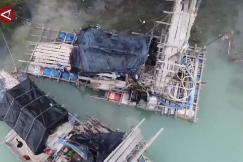 Mengintip reklamasi lahan bekas tambang di Sorowako Sulawesi Selatan - ANTARA News