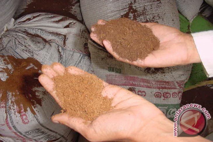 Serbuk Sabut Kelapa Bisa Jadi Pupuk Organik - ANTARA News Kalimantan Barat