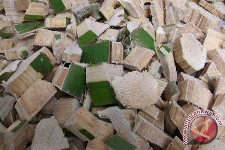 Pelepah Sawit Untuk Pakan Ternak - ANTARA News Kalimantan Selatan