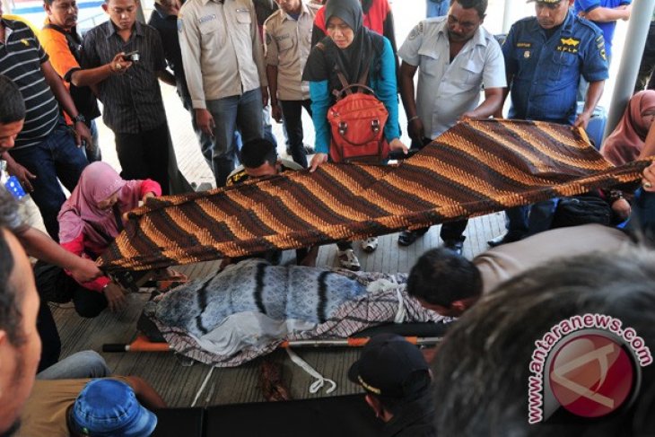 Wisatawan Asal Medan Tewas Tenggelam di Sabang - ANTARA News Aceh