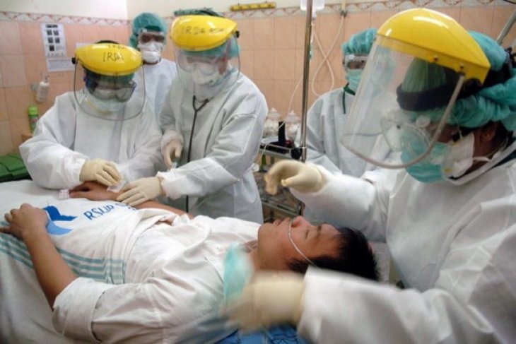 Flu Babi Tewaskan 800 Lebih Orang di India Sejak 2015 - ANTARA News ...