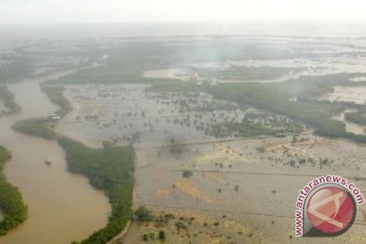 Ikan di Delta Mahakam Aman Dikonsumsi - ANTARA News Kalimantan Timur