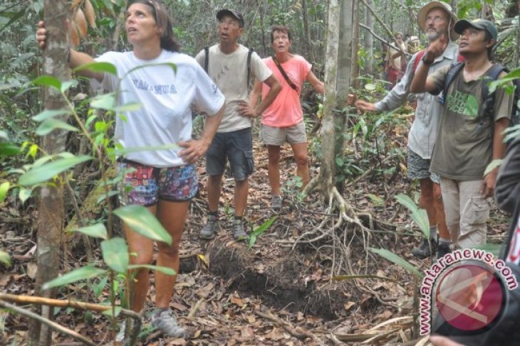 Peserta Rally Yacht Kagumi Fauna Ketapang - ANTARA News Kalimantan Barat