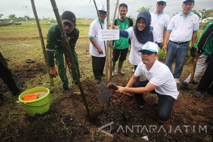 Gerakan Tanam Pohon PLN