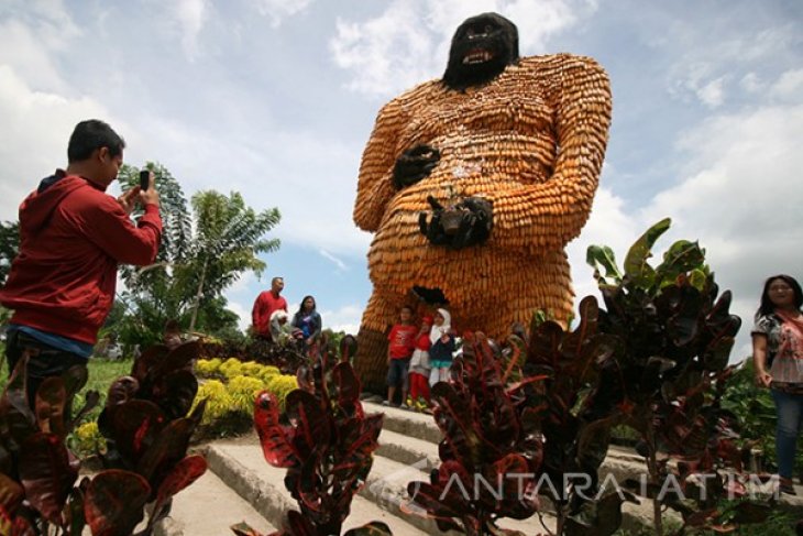 Patung Gorilla Dari Jagung - ANTARA News Jawa Timur