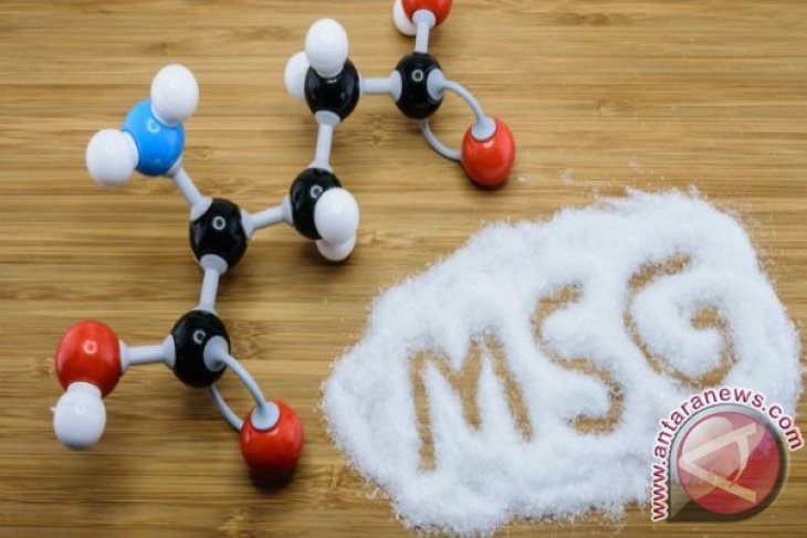 Ambang Rasa Umami dari MSG dalam Makanan - ANTARA News Megapolitan