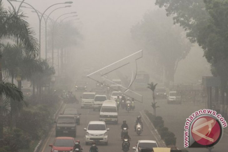 Gubernur Riau Tetapkan Darurat Pencemaran Udara Akibat Kebakaran Hutan