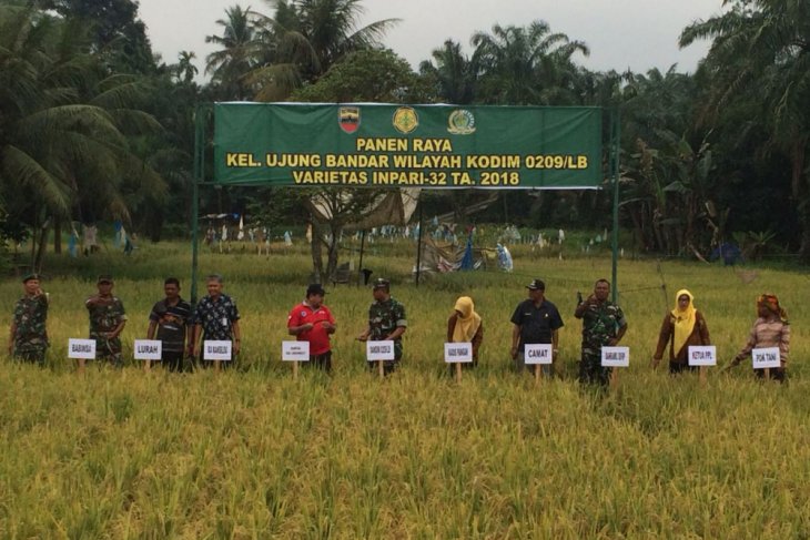 Kodim panen raya padi varietas Inpari - ANTARA News Sumatera Utara Kodim panen raya padi varietas Inpari - ANTARA News Sumatera Utara