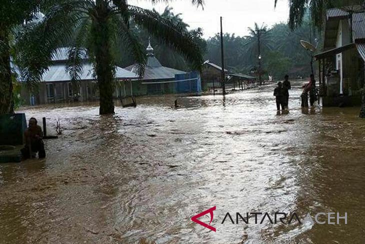 Banjir bandang landa Aceh Tamiang - ANTARA News Aceh