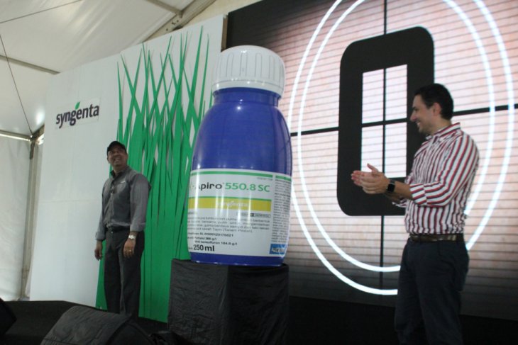 Syngenta Luncurkan Teknologi Kendalikan Gulma Bantu Petani - ANTARA ...