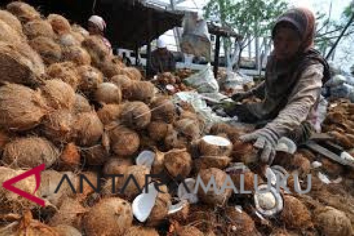 Pemprov Malut siapkan regulasi perlindungan komoditas unggulan - ANTARA ... Pemprov Malut siapkan regulasi perlindungan komoditas unggulan - ANTARA ...