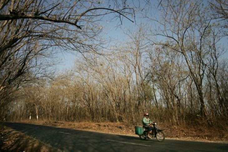 Sejumlah wilayah di NTT kekeringan ekstrem - ANTARA News Jambi