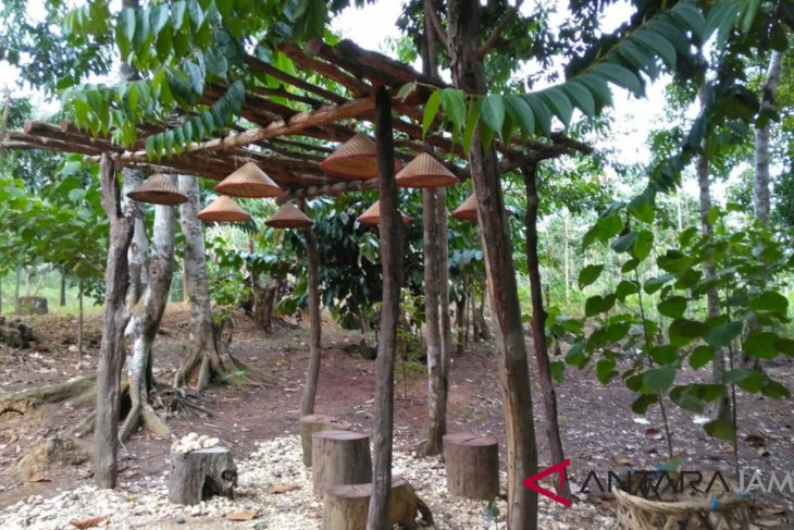 Taman Puri Rimbo Bulian destinasi wisata baru di Batanghari - ANTARA ...