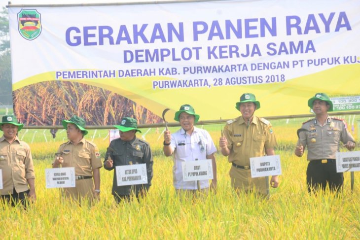Pupuk Kujang bantu petani Purwakarta tingkatkan produksi - ANTARA News ... Pupuk Kujang bantu petani Purwakarta tingkatkan produksi - ANTARA News ...