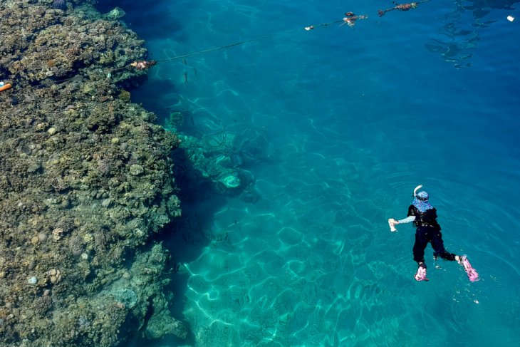 Botubarani Whale Shark Attraction Cleaned Up From Waste - ANTARA News ...