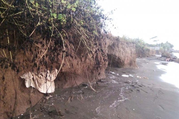 Abrasi pantai di Bengkulu hilangkan daratan hingga 40 meter - ANTARA ...