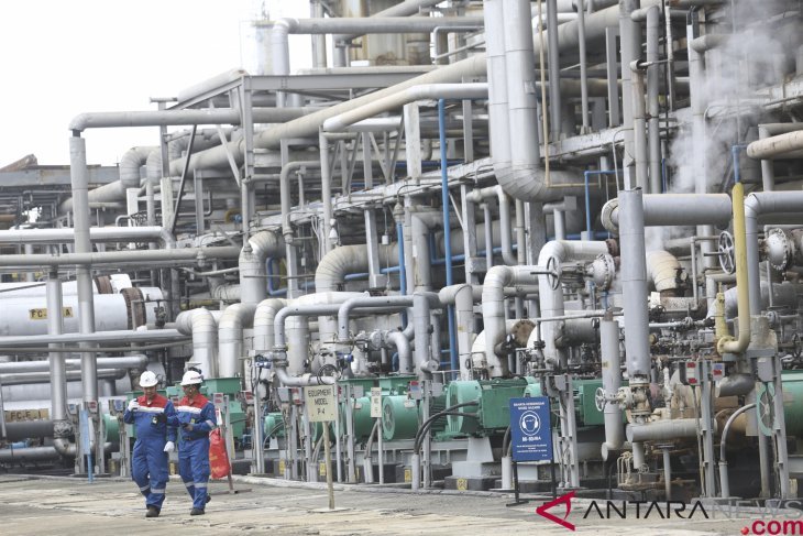 Pertamina ubah minyak sawit jadi energi ramah lingkungan - ANTARA News ...