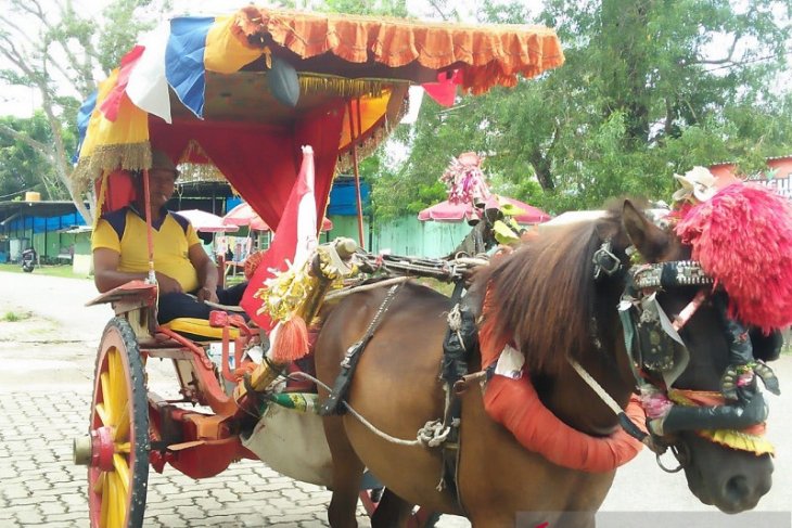Zainal tekuni profesi kusir delman selama 30 tahun - ANTARA News Jambi