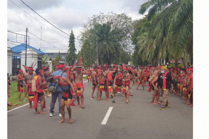 Pasukan Merah Dayak minta pengakuan hak hutan adat di kawasan TNBKDS ...