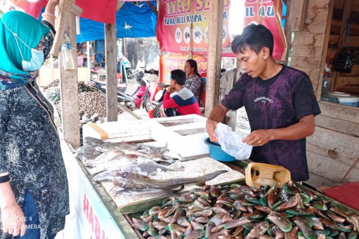 700 pedagang di Pasar Rangkasbitung siap divaksin COVID-19 - ANTARA ...