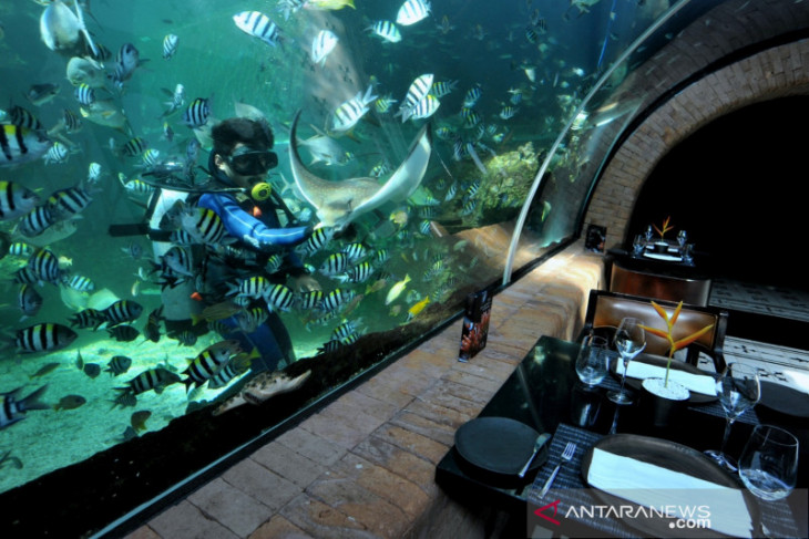 "Koral Restaurant" di Bali raih predikat "Picture-Perfect Restaurants ...