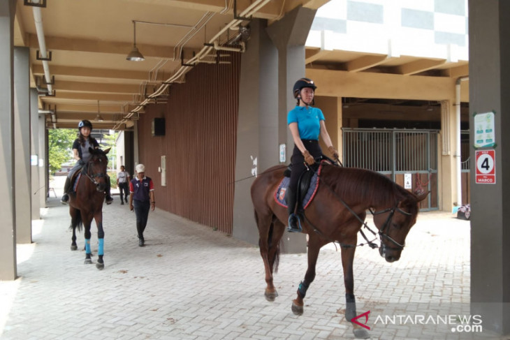 JIEP yang tak sekadar pacuan kuda Pulomas - ANTARA News Ambon, Maluku