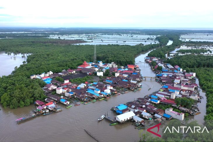 Pais Patin ala PHM di Anggana - ANTARA News Kalimantan Timur